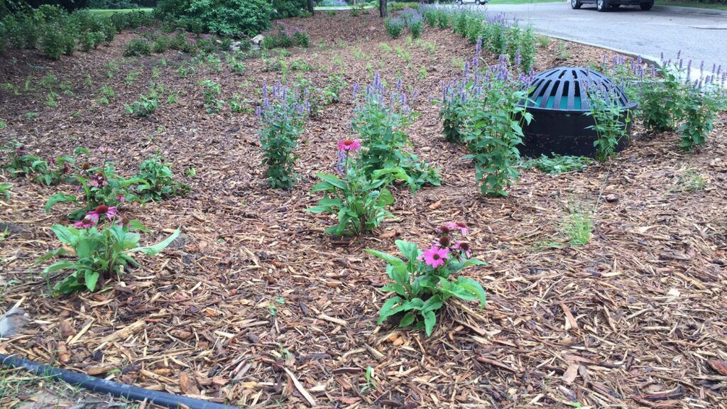 Trinity Presbyterian Church - Ramsey-Washington Metro Watershed District