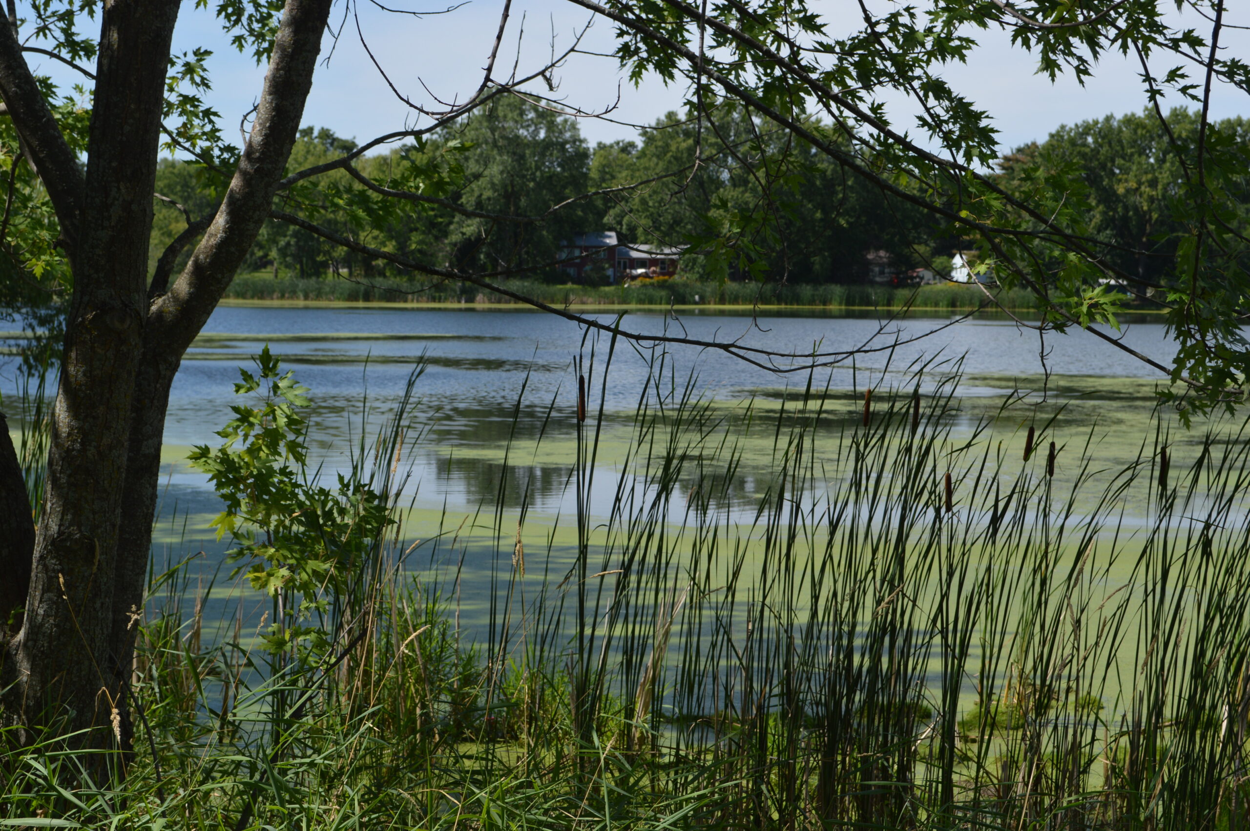 Wakefield Lake - Ramsey-Washington Metro Watershed District