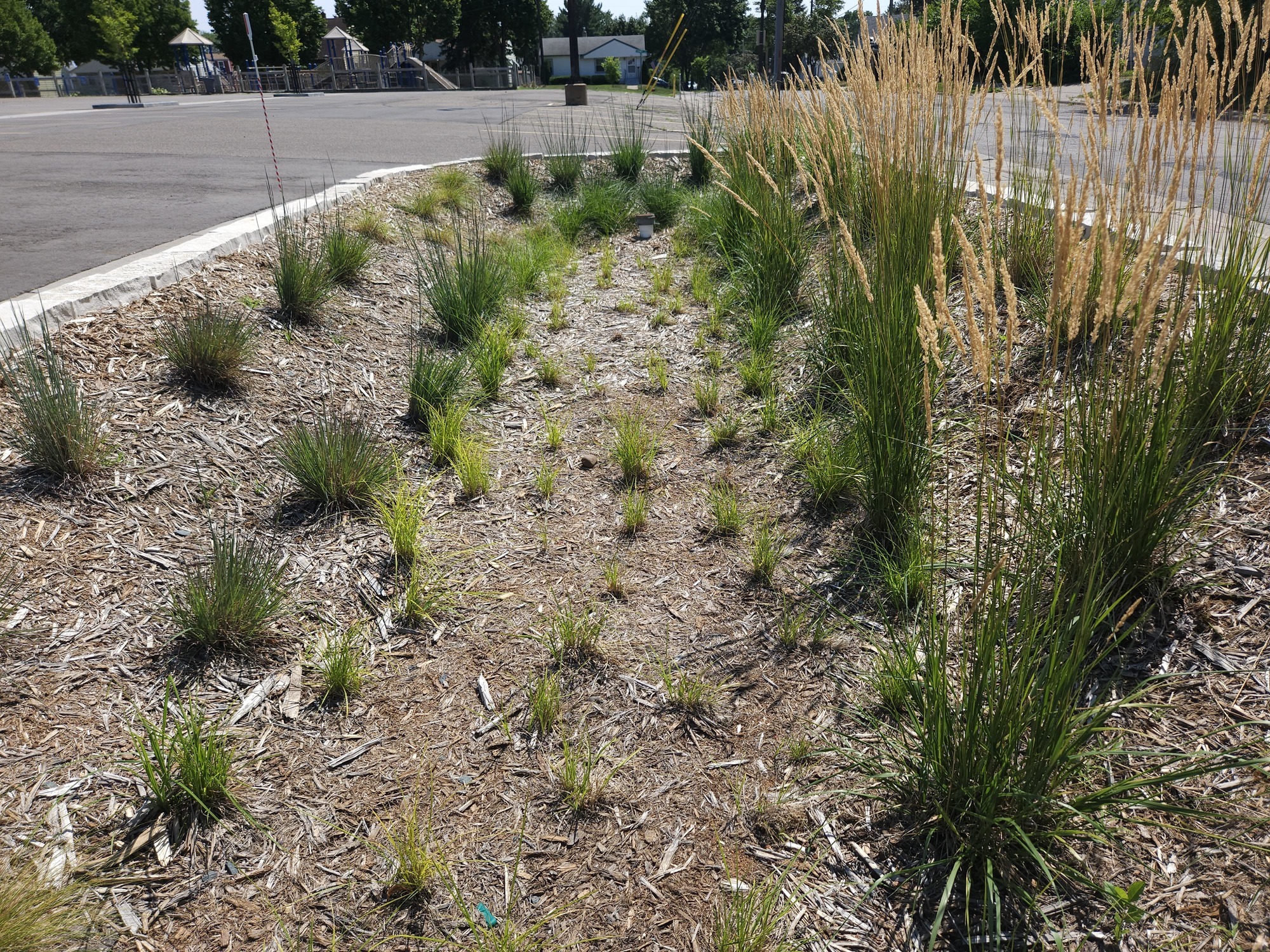 St. Pascal Baylon Church - Ramsey-Washington Metro Watershed District